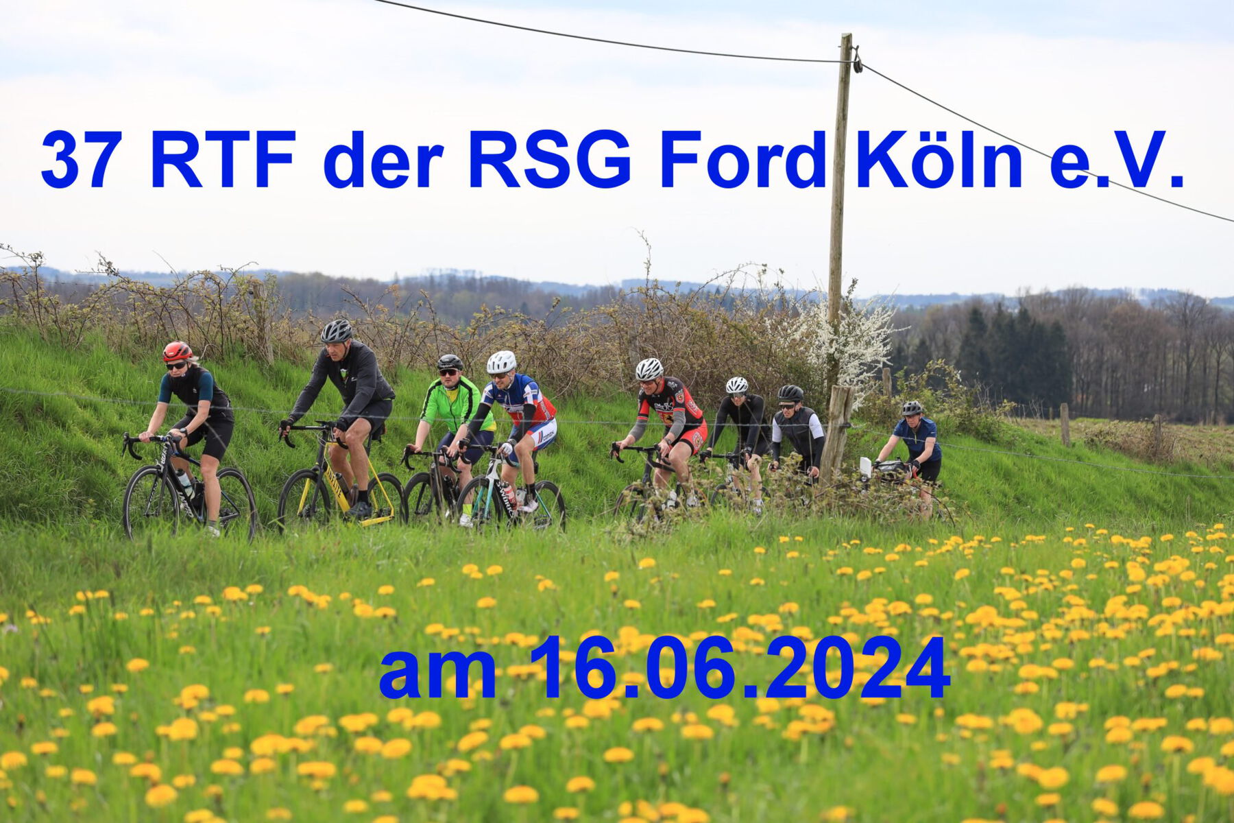 RSG FORD | Ford Köln RTF